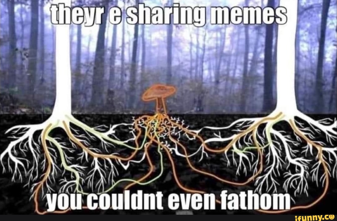 'theyr sharing memes : ' \ . \ you couldnt even fathom - iFunny