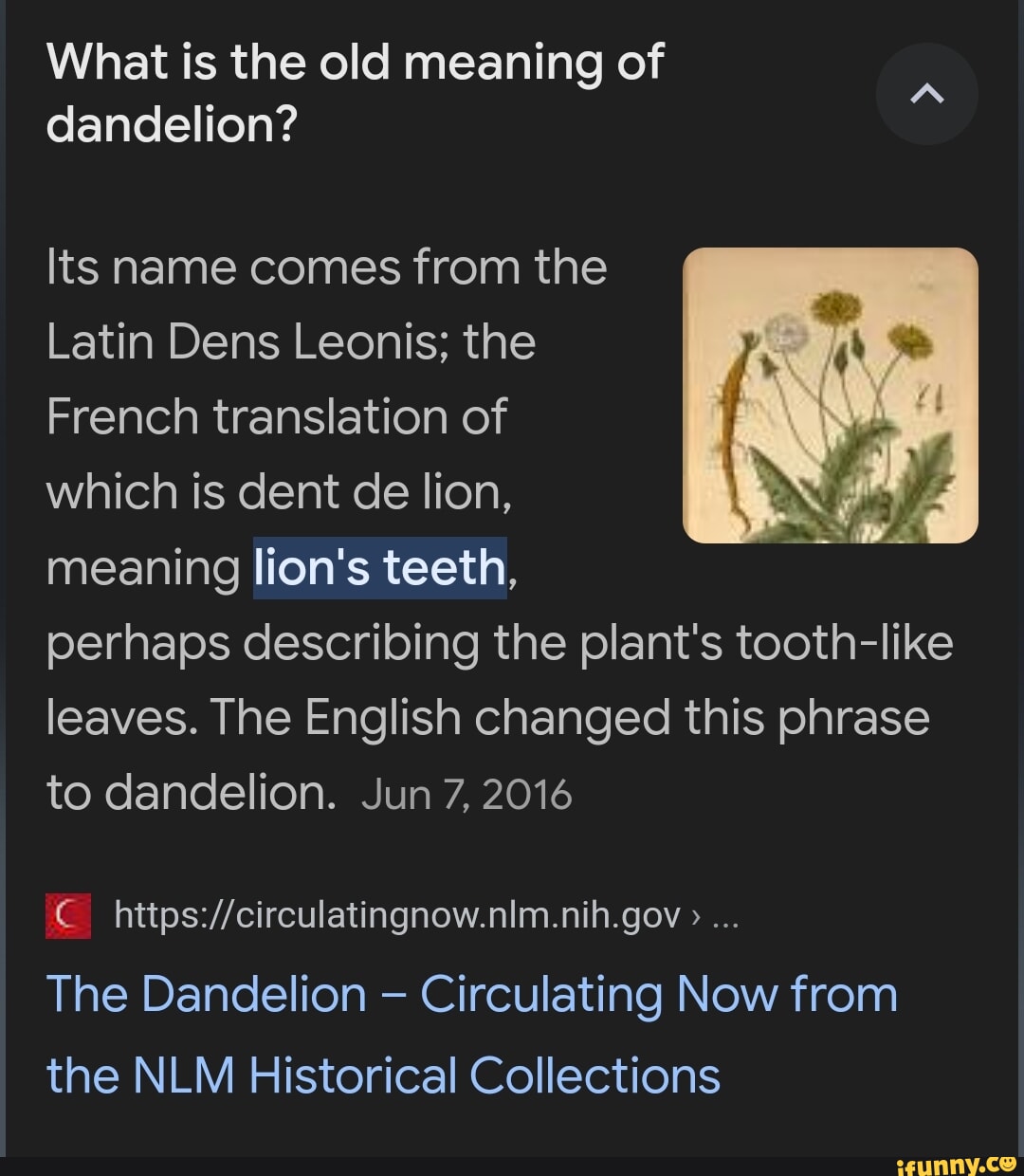 What is the old meaning of dandelion? Its name comes from the Latin ...