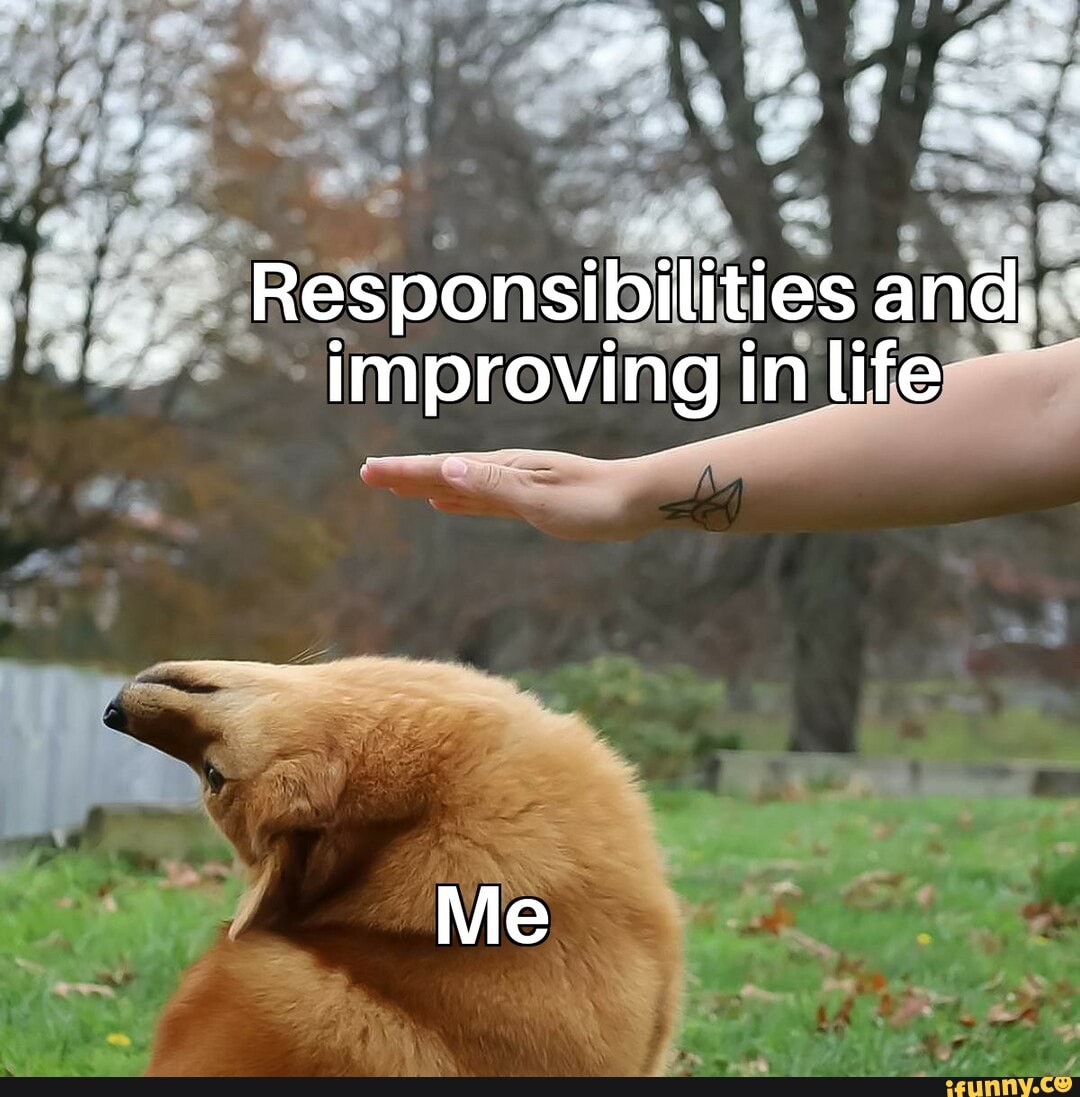 Weaving memes. Best Collection of funny Weaving pictures on iFunny