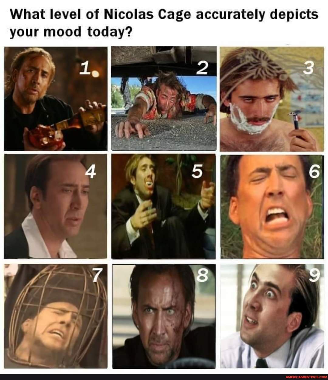 What level of Nicolas Cage accurately depicts your mood today ...