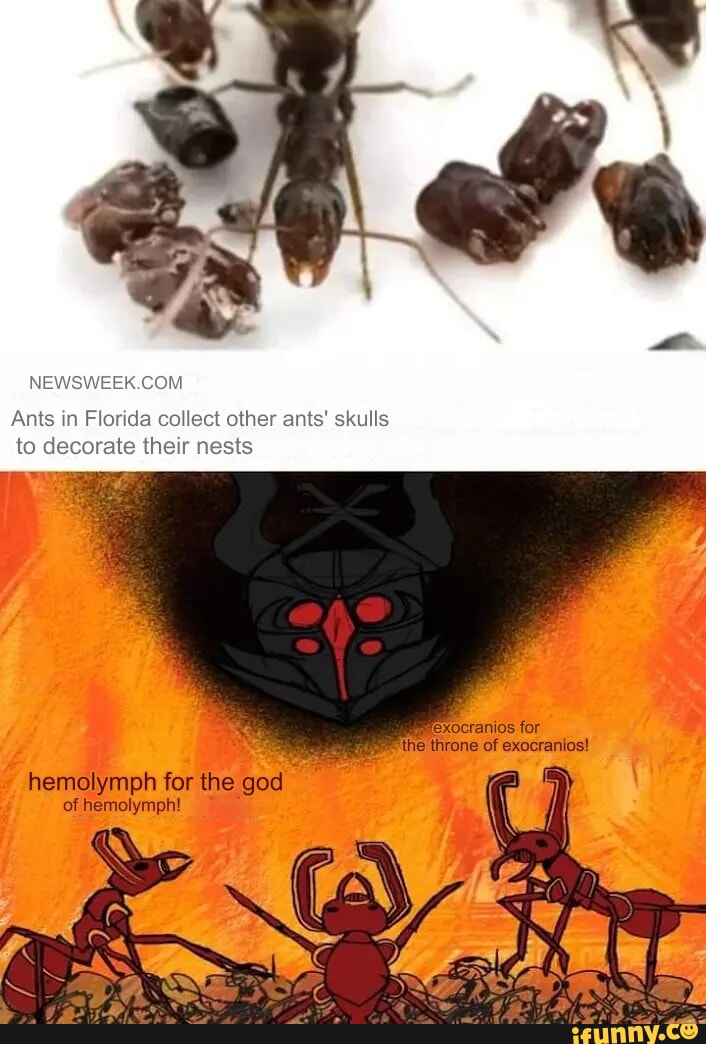 If everybody here accidentally drowned, the first bloated corpse I'd ...