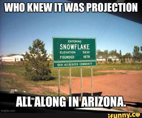 WHO KNEW IT WAS PROJECTION ENTERING SNOWFLAKE ELEVATION 5630 FOUNDED ...