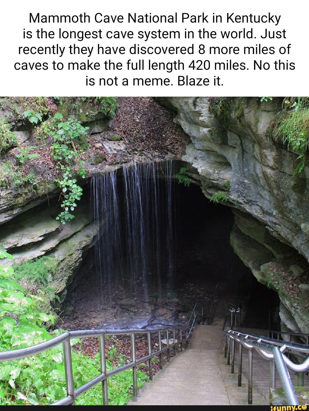 Mammothcave memes. Best Collection of funny Mammothcave pictures on iFunny