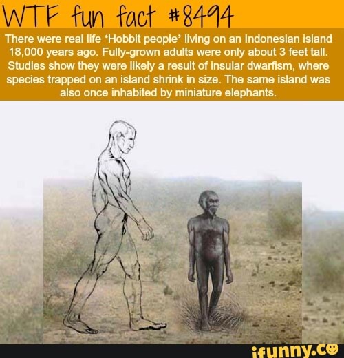 There were real life 'Hobbit people' living on an Indonesian island ...