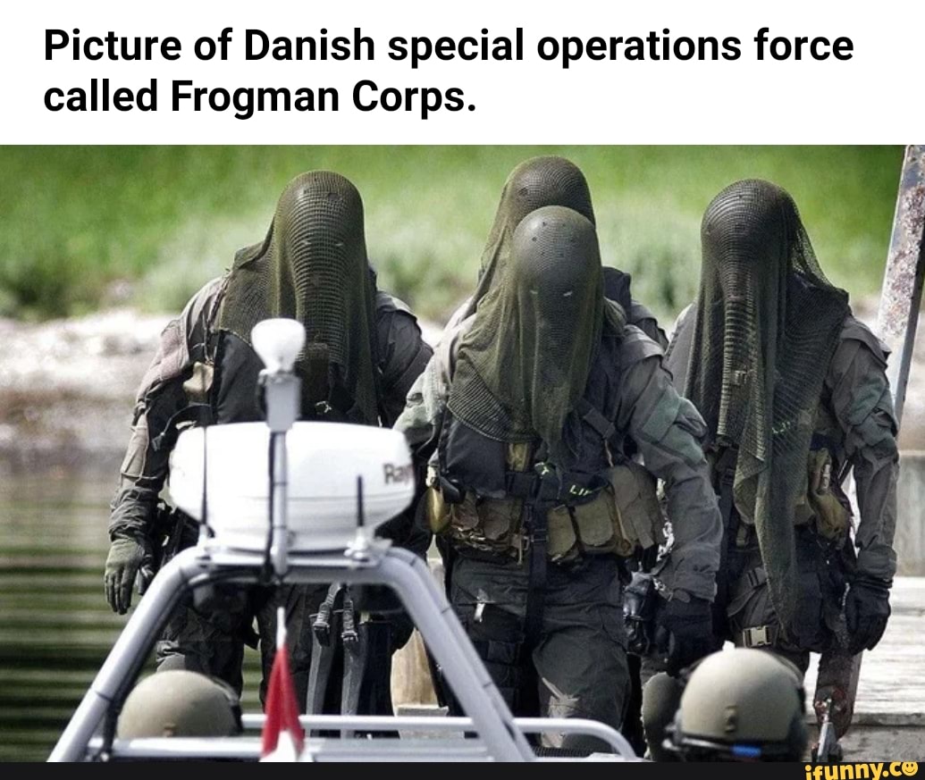 Picture of Danish special operations force called Frogman Corps. - iFunny