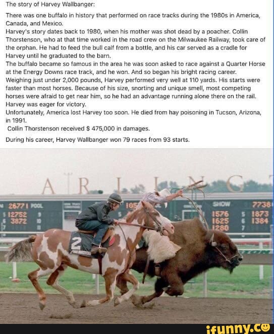 Poacher memes. Best Collection of funny Poacher pictures on iFunny