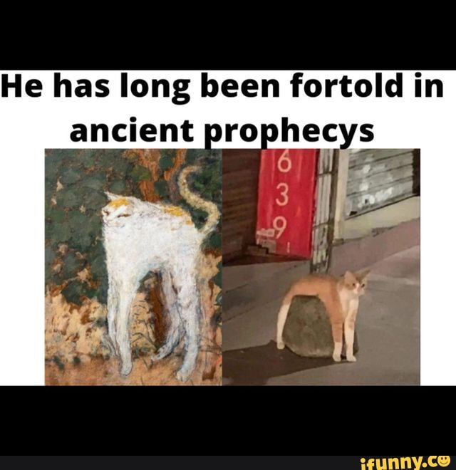 iFunny :)