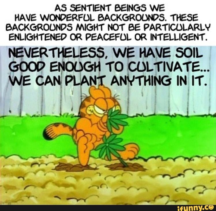 AS SENTIENT BEINGS WE HAVE WONDERFUL BACKGROUNDS. THESE BACKGROUNDS ...