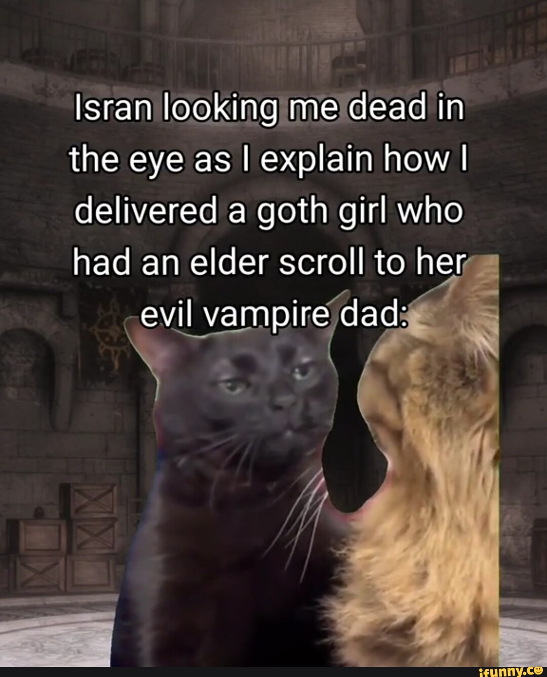 Isran looking me dead in the eye as I explain how I delivered a goth ...