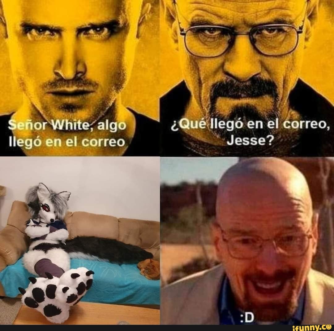 Correo memes. Best Collection of funny Correo pictures on iFunny