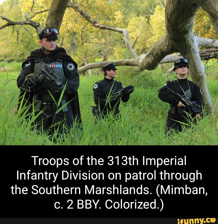 Troops of the 313th Imperial Infantry Division on patrol through the ...