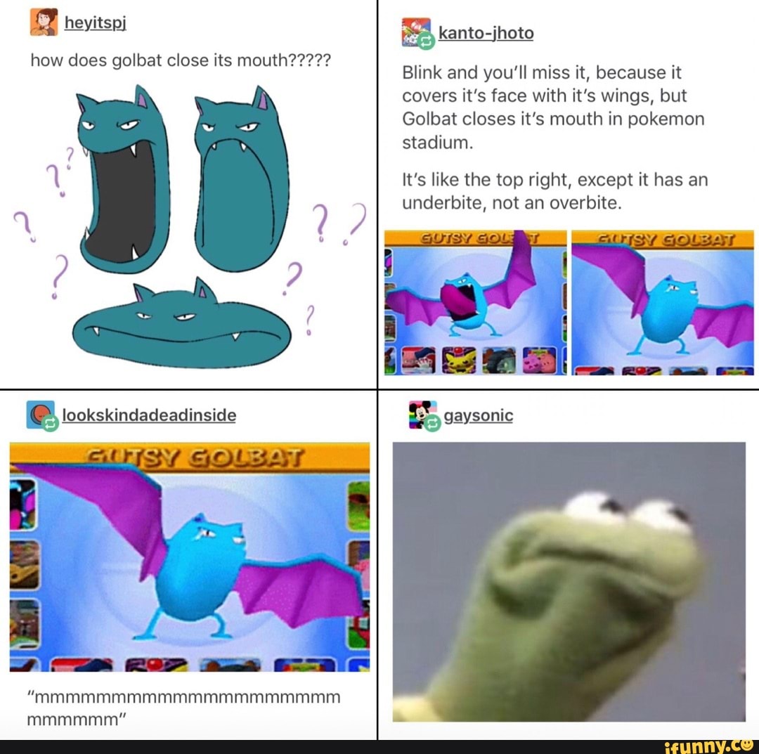 Jhote memes. Best Collection of funny Jhote pictures on iFunny