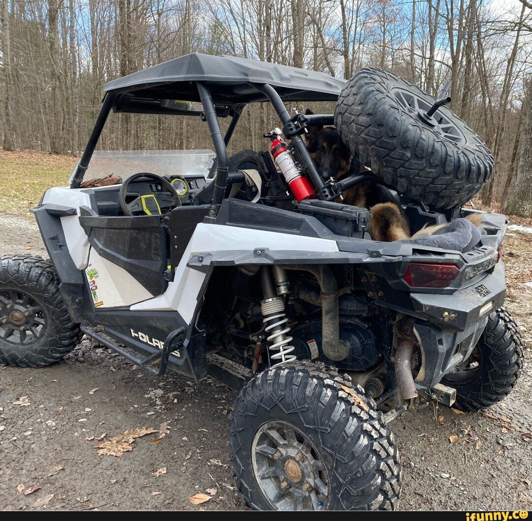 Picture memes sNd6ZfBKA by HeadSpace_and_Timing: 1 comment - iFunny