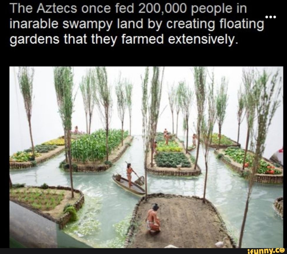 Aztecs memes. Best Collection of funny Aztecs pictures on iFunny
