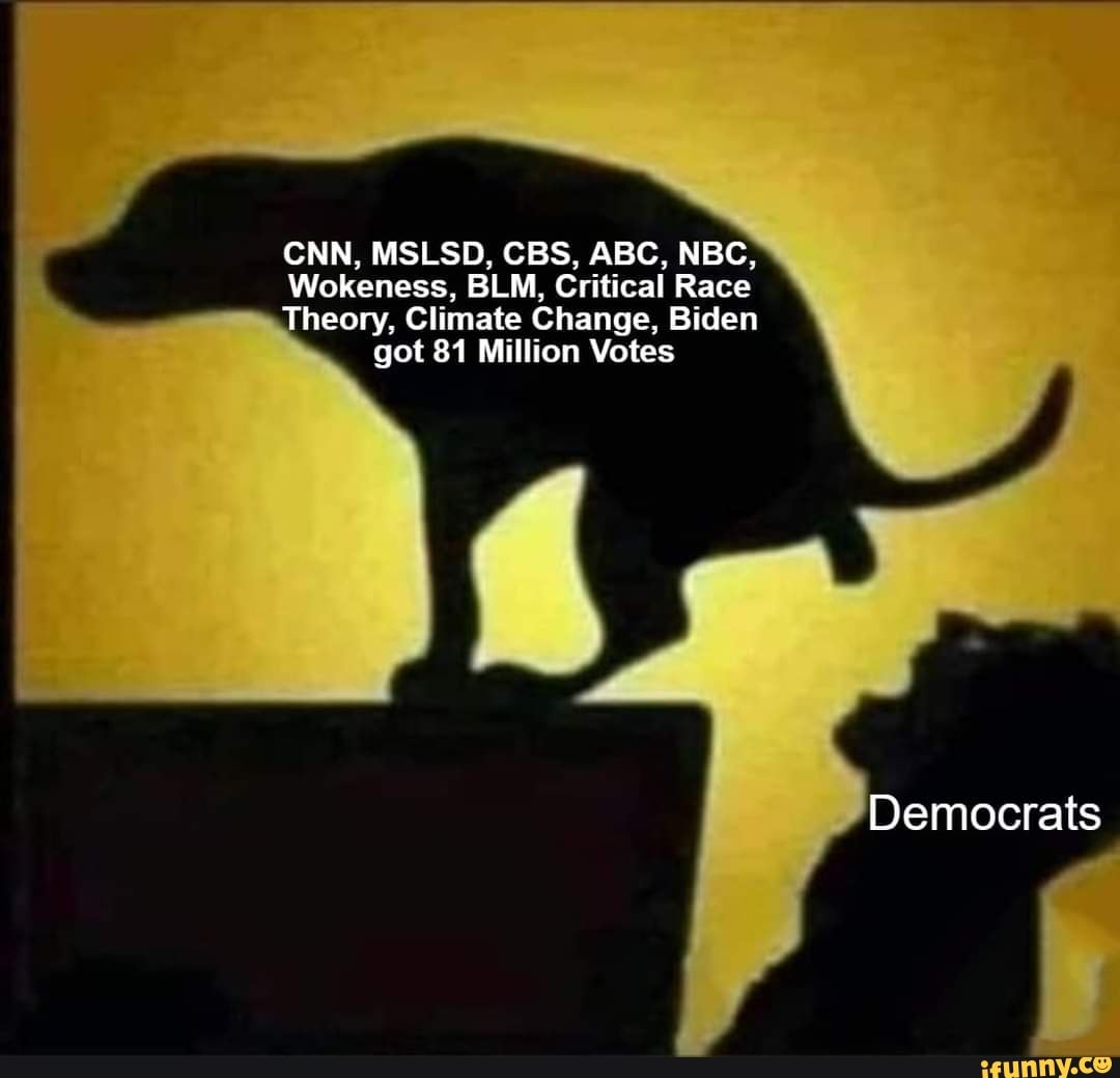 CNN, MSLSD, CBS, ABC, NBC, Wokeness, BLM, Critical Race Theory, Climate ...