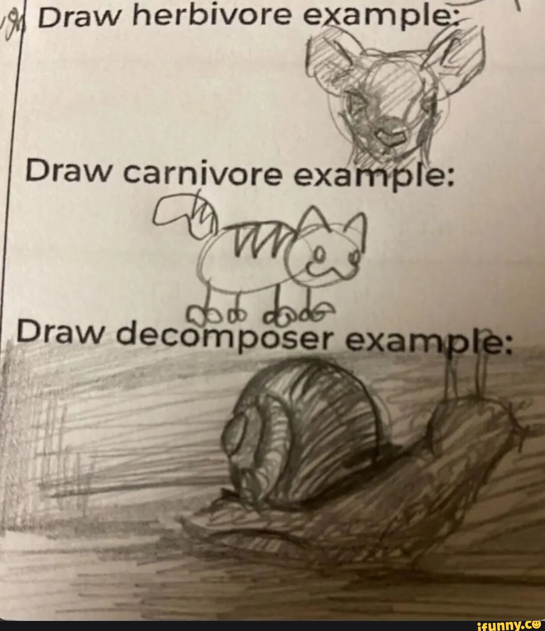 /9 Draw herbivore ex Draw Carnivore example: Draw - iFunny