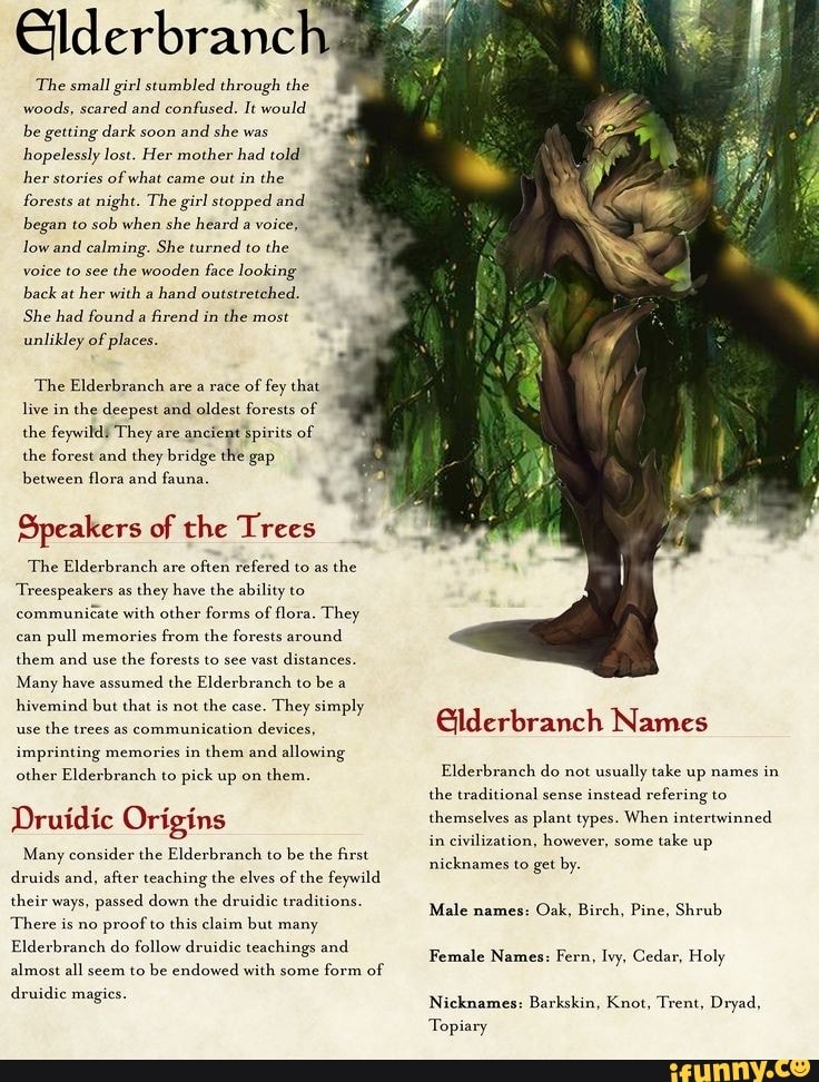 Elderbranch memes. Best Collection of funny Elderbranch pictures on iFunny