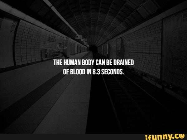 THE HUMAN BODY CAN BE DRAINED OF BLOOD IN 8.3 SECONDS. - iFunny