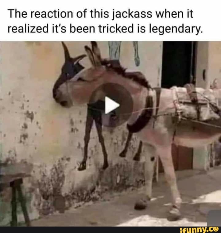 Jackass memes memes. The best memes on iFunny