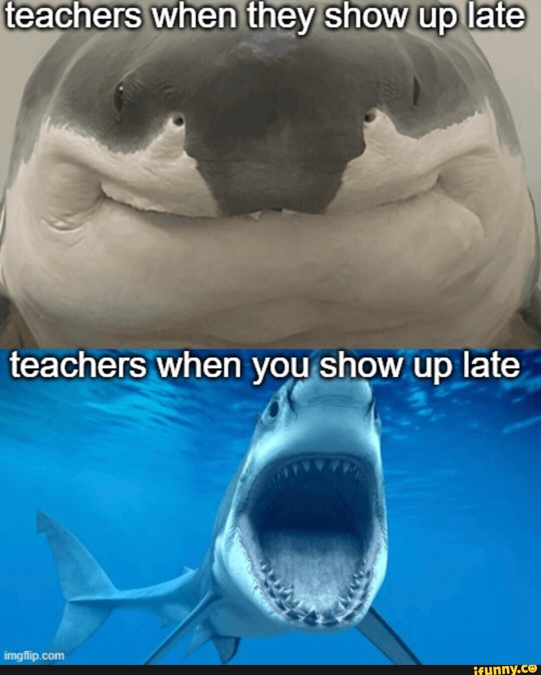 Teachers when they show up late teachers when you show up late com - iFunny