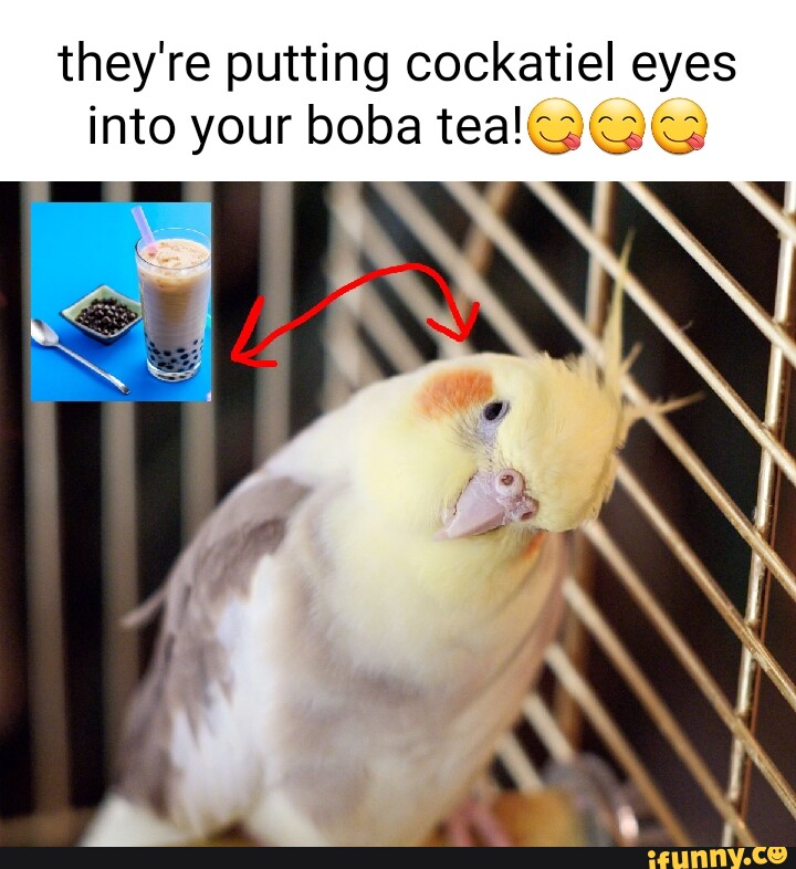 Bobatea memes. Best Collection of funny Bobatea pictures on iFunny