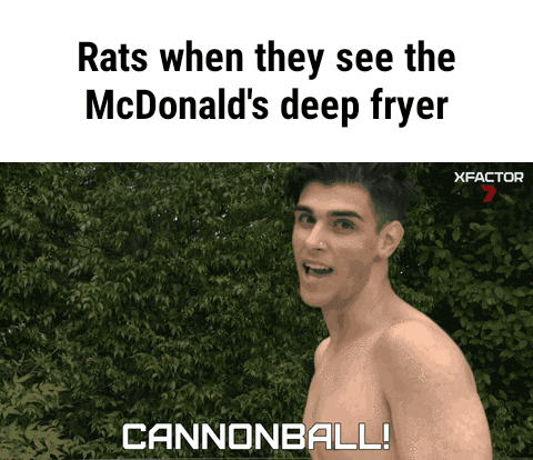 Rats when they see the McDonald's deep fryer FACTOR FIAIAIMAID - iFunny
