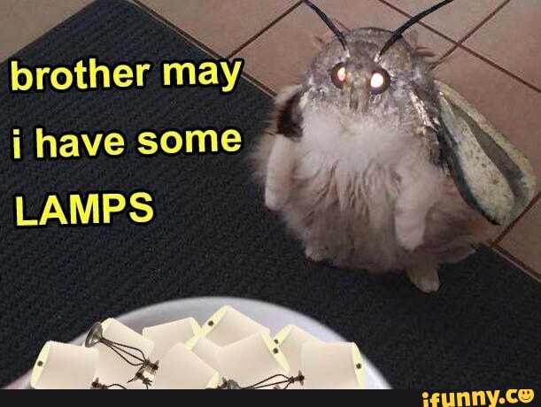 Brother may i have some LAMPS - iFunny