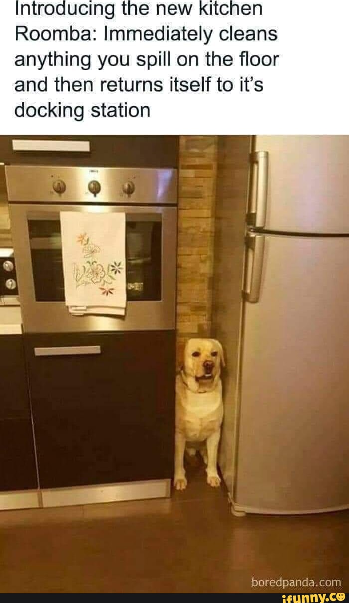 Docking memes. Best Collection of funny Docking pictures on iFunny