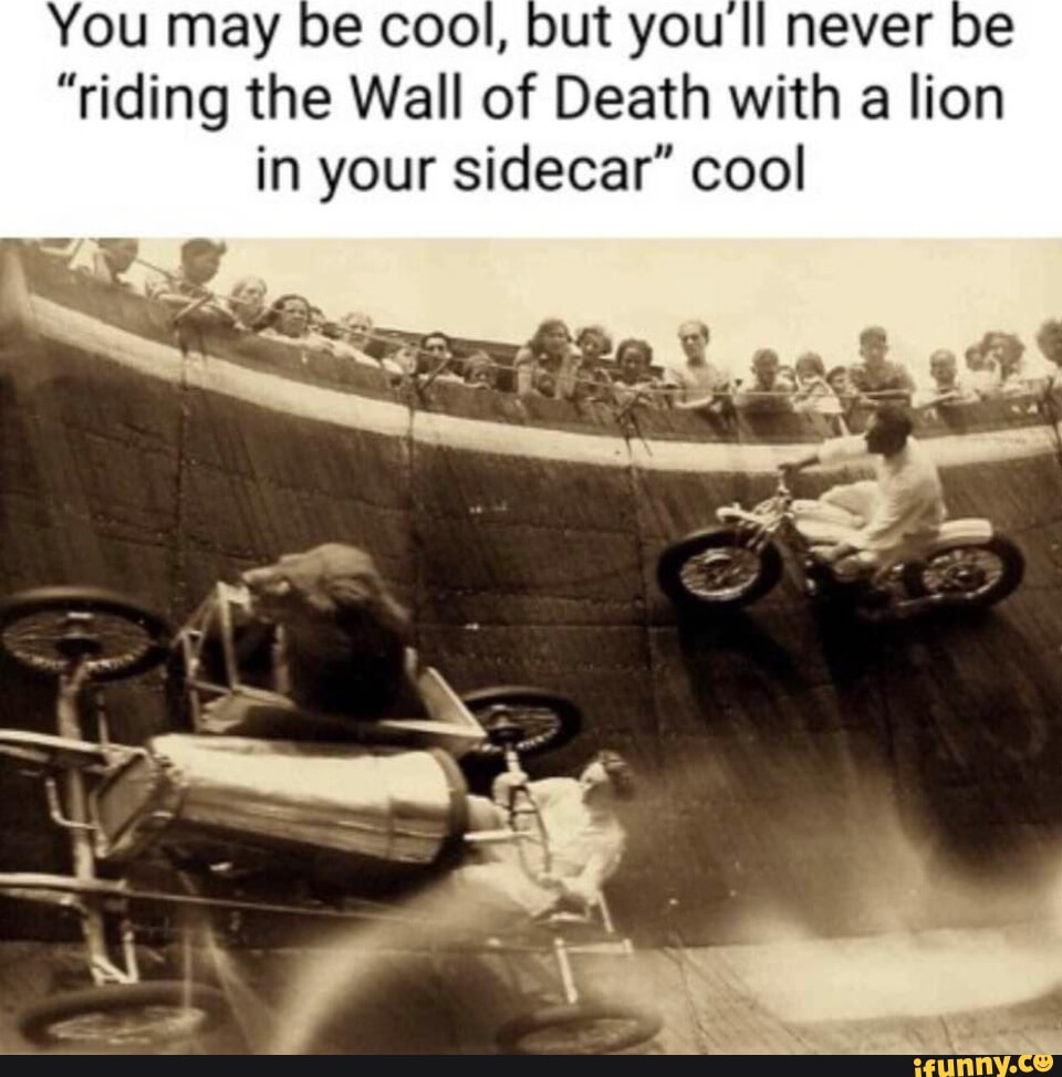 Sidecar memes. Best Collection of funny Sidecar pictures on iFunny