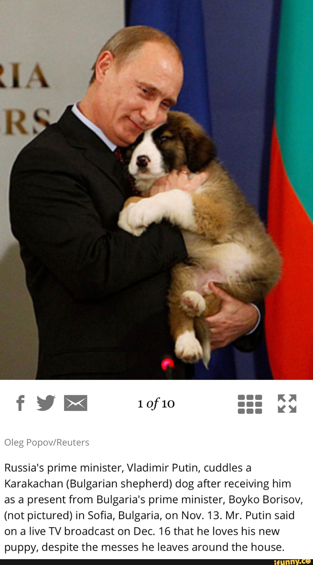 Russia's prime minister, Vladimir Putin, cuddles a Karakachan ...