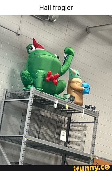 Frogler memes. Best Collection of funny Frogler pictures on iFunny