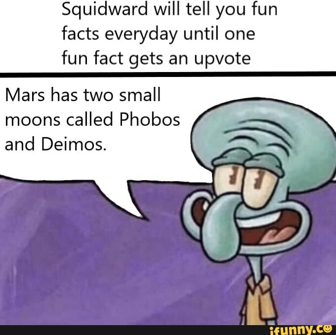 Squidward will tell you fun facts everyday until one fun fact gets an ...
