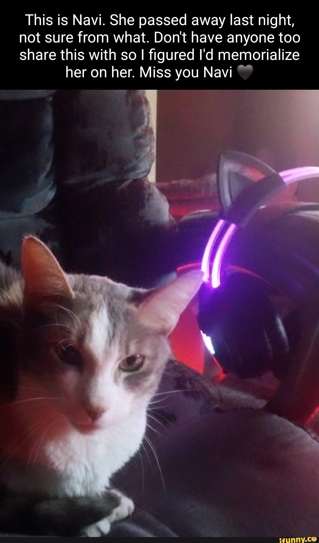 Navi memes. Best Collection of funny Navi pictures on iFunny