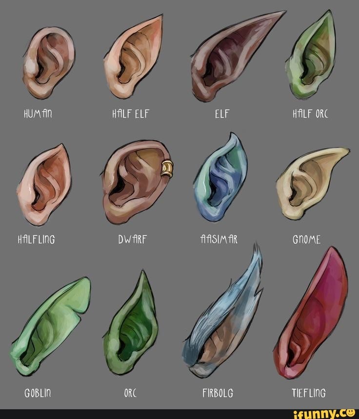 HILF ORC HALF ELF HALFLING DWARF GNOME FIRBOLG TIEFLING - iFunny