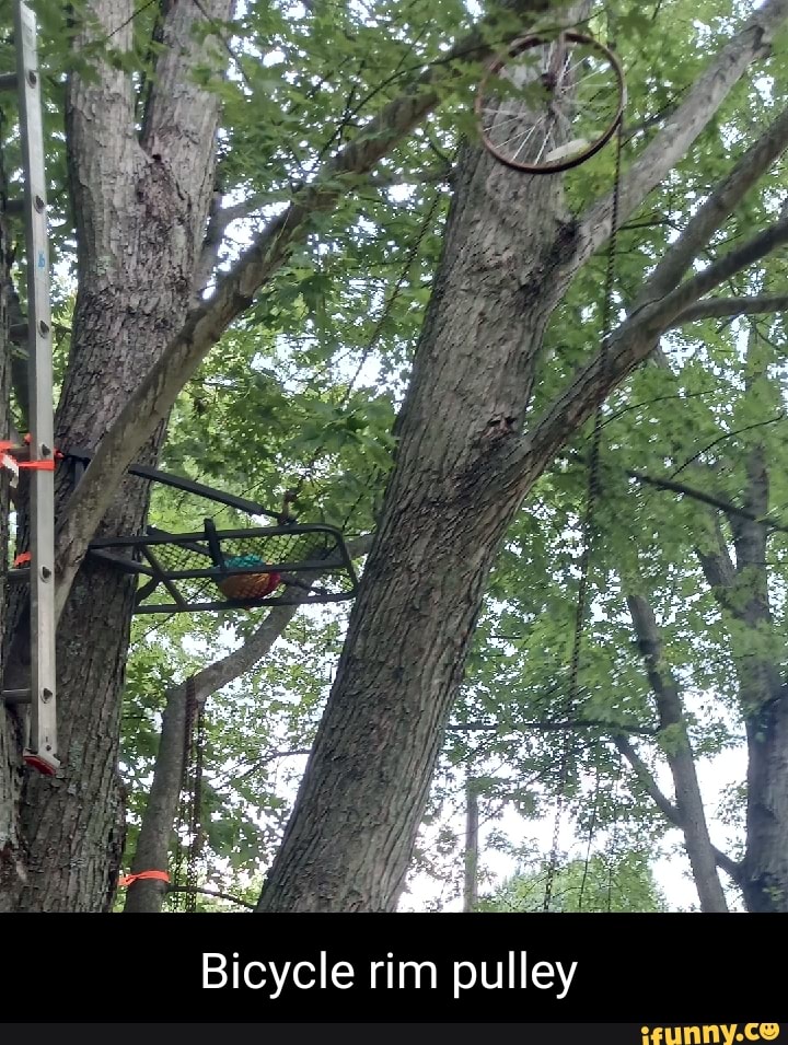 Pulley memes. Best Collection of funny Pulley pictures on iFunny