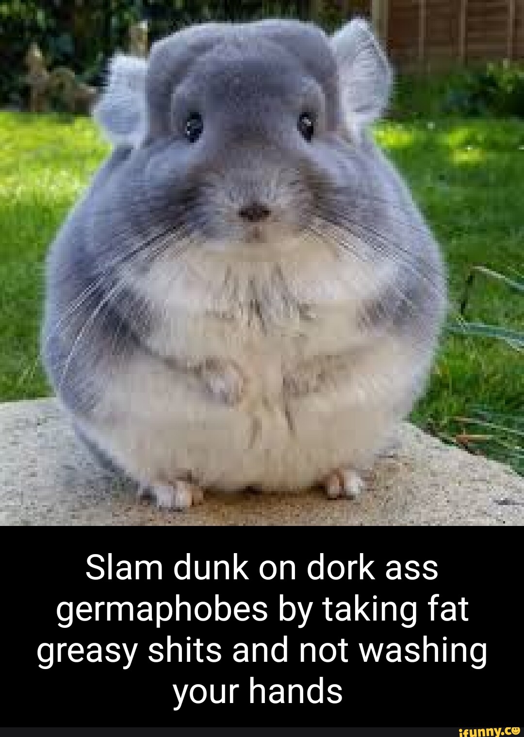 Slam dunk on dork ass germaphobes by taking fat greasy shits and not ...