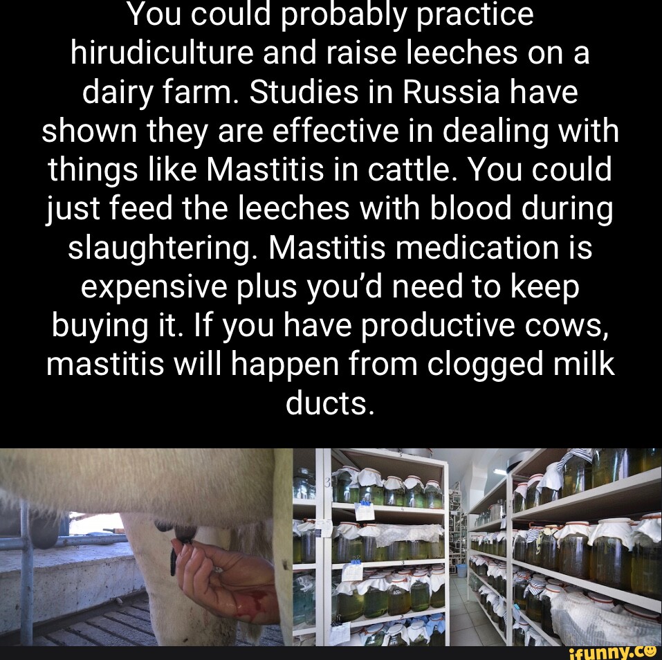 You could probably practice hirudiculture and raise leeches on a dairy ...