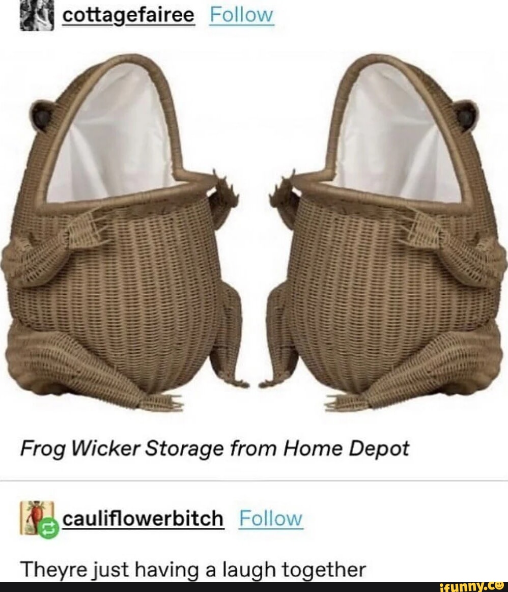 Frog Wicker Storage Home Depot