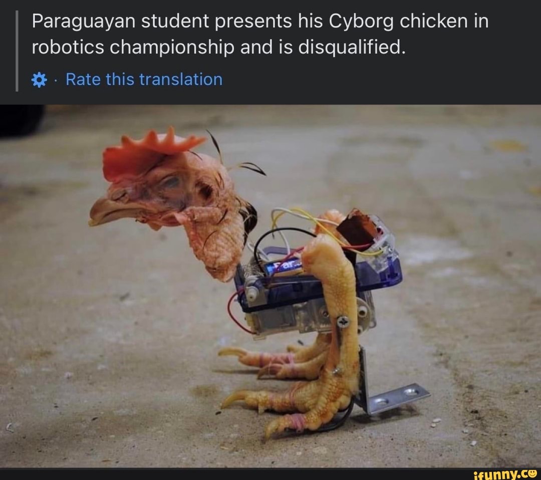 Paraguayan student presents his Cyborg chicken in robotics championship ...