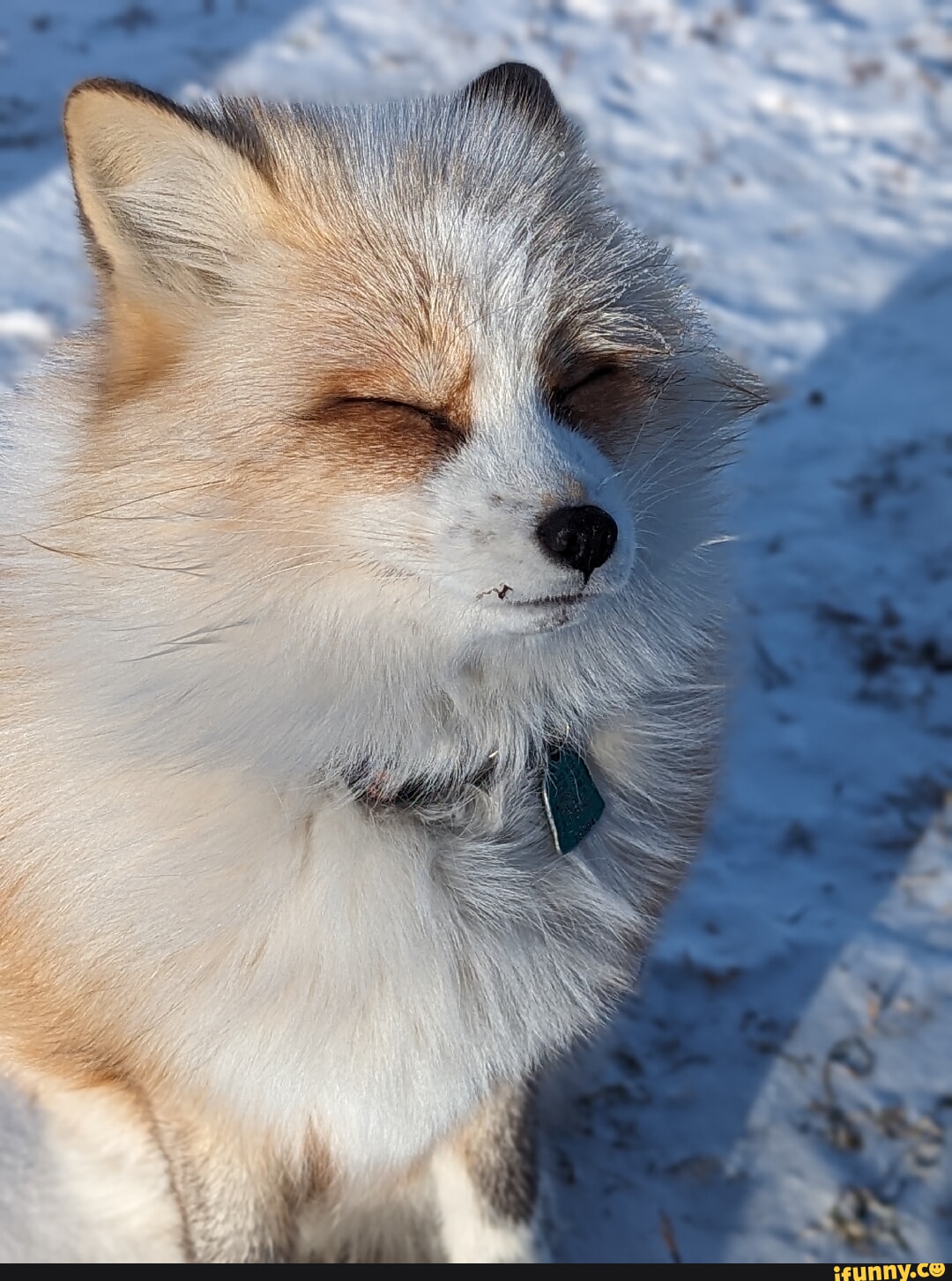 Tfm_skeeter memes. Best Collection of funny Tfm_skeeter pictures on iFunny