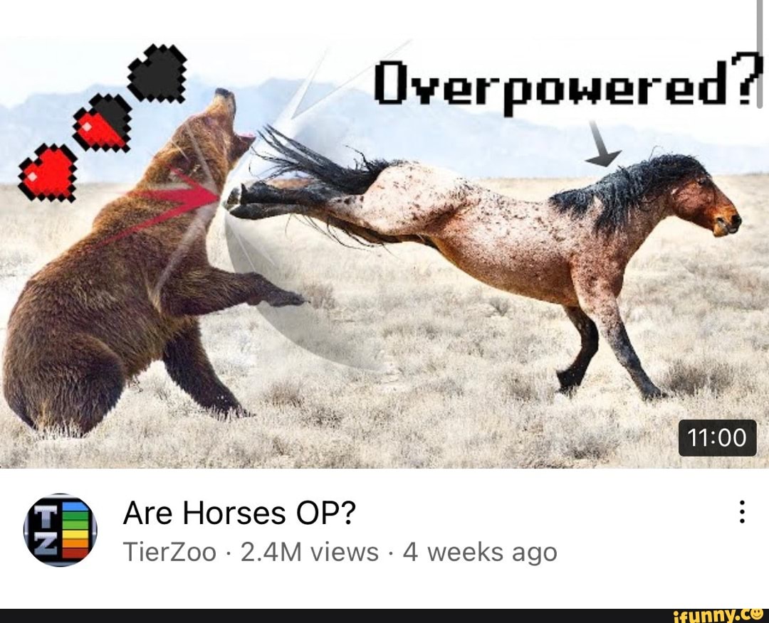 Tierzoo memes. Best Collection of funny Tierzoo pictures on iFunny