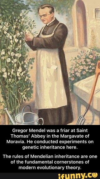 Gregormendel memes. Best Collection of funny Gregormendel pictures on ...