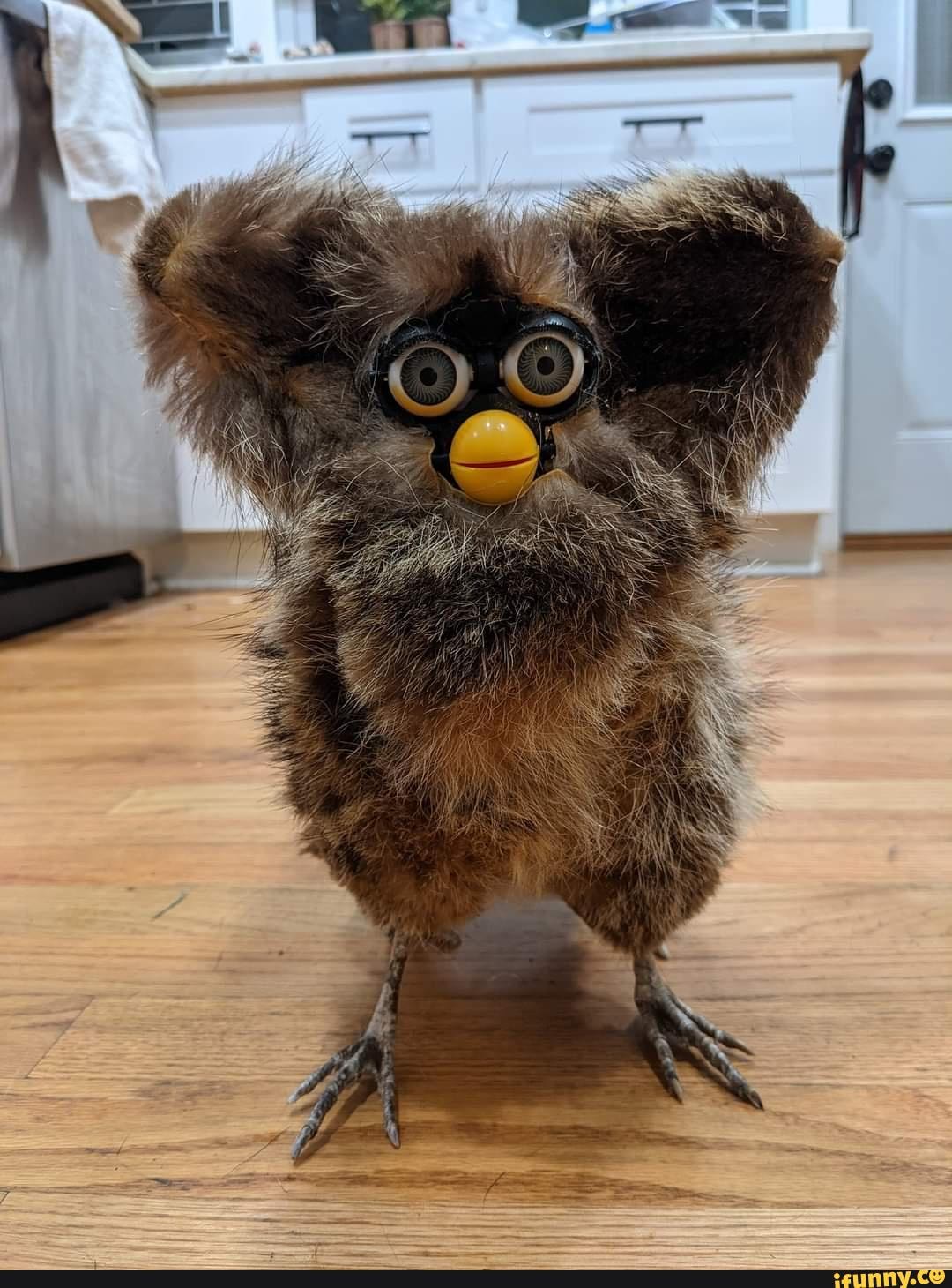 Furby memes. Best Collection of funny Furby pictures on iFunny