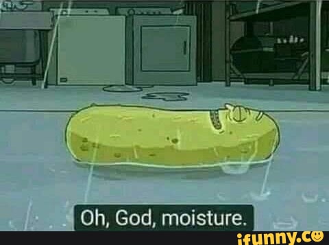 Moisture memes. Best Collection of funny Moisture pictures on iFunny