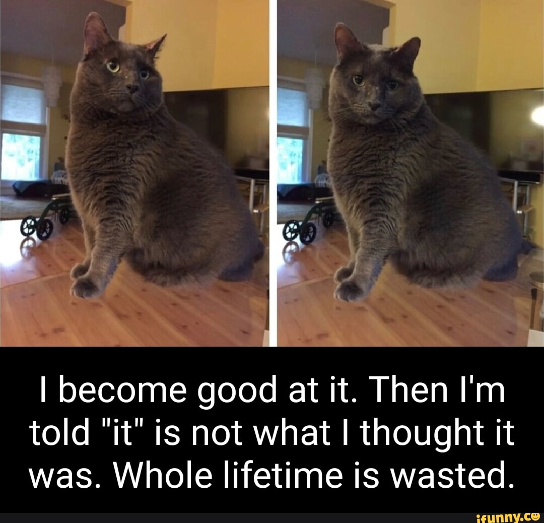 Wasted memes. Best Collection of funny Wasted pictures on iFunny