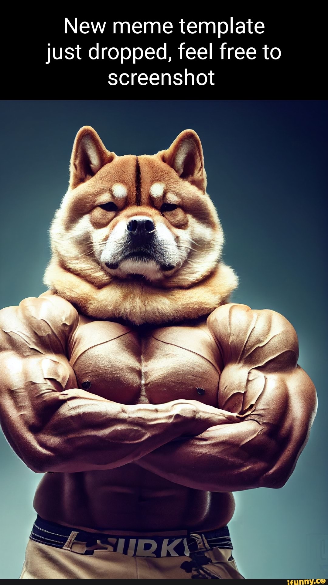 New meme template just dropped, feel free to screenshot - iFunny