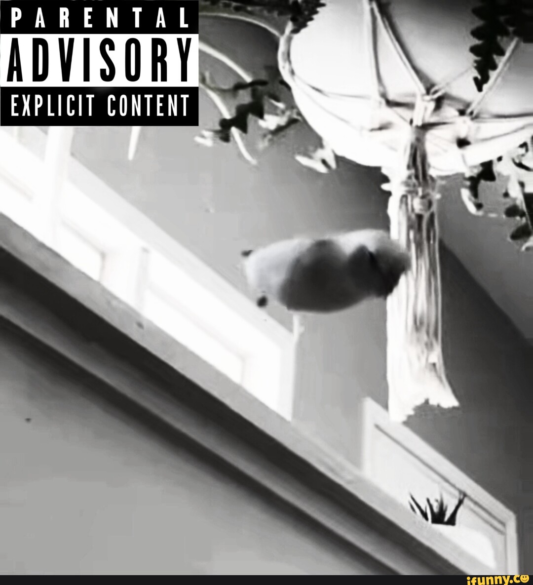 PARENTAL ADVISORY EXPLICIT CONTENT \ ~ \ - iFunny