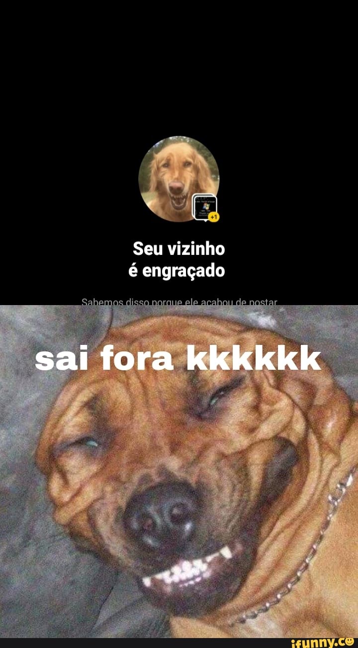 Seu vizinho é engraçado ele sai fora kkkkkk - iFunny