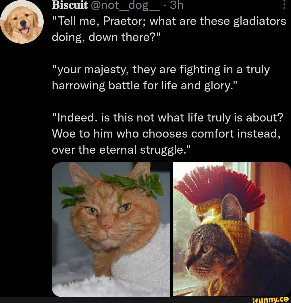 Biscuit @not_dog_ : "Tell me, Praetor; what are these gladiators doing ...