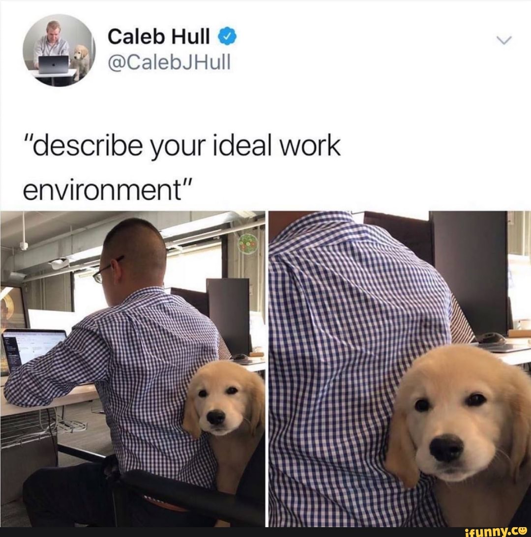 “describe your ideal work environment’ l - iFunny